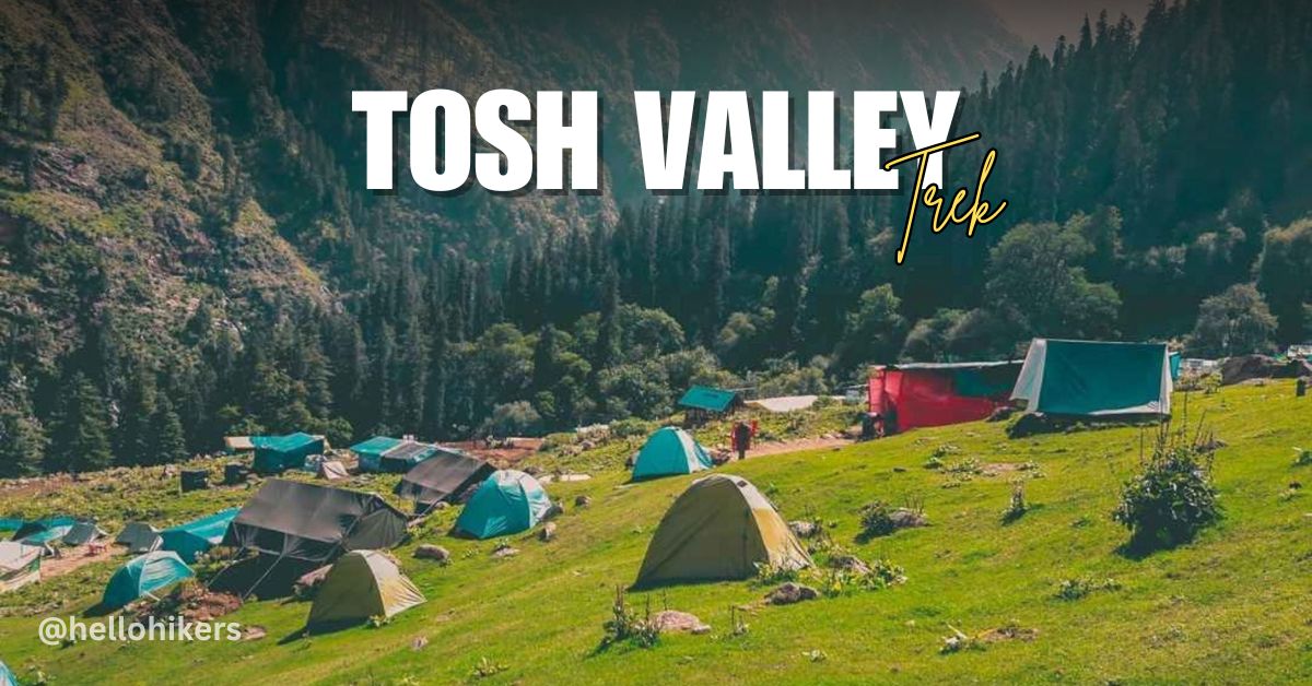 Tosh Valley Trek Himachal Pradesh 2025 - Nature's Paradise